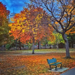 30 Free Things to Do in Boston in November | The Boston Calendar
