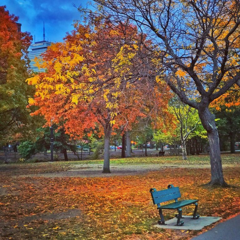 30 Free Things to Do in Boston in November | The Boston Calendar